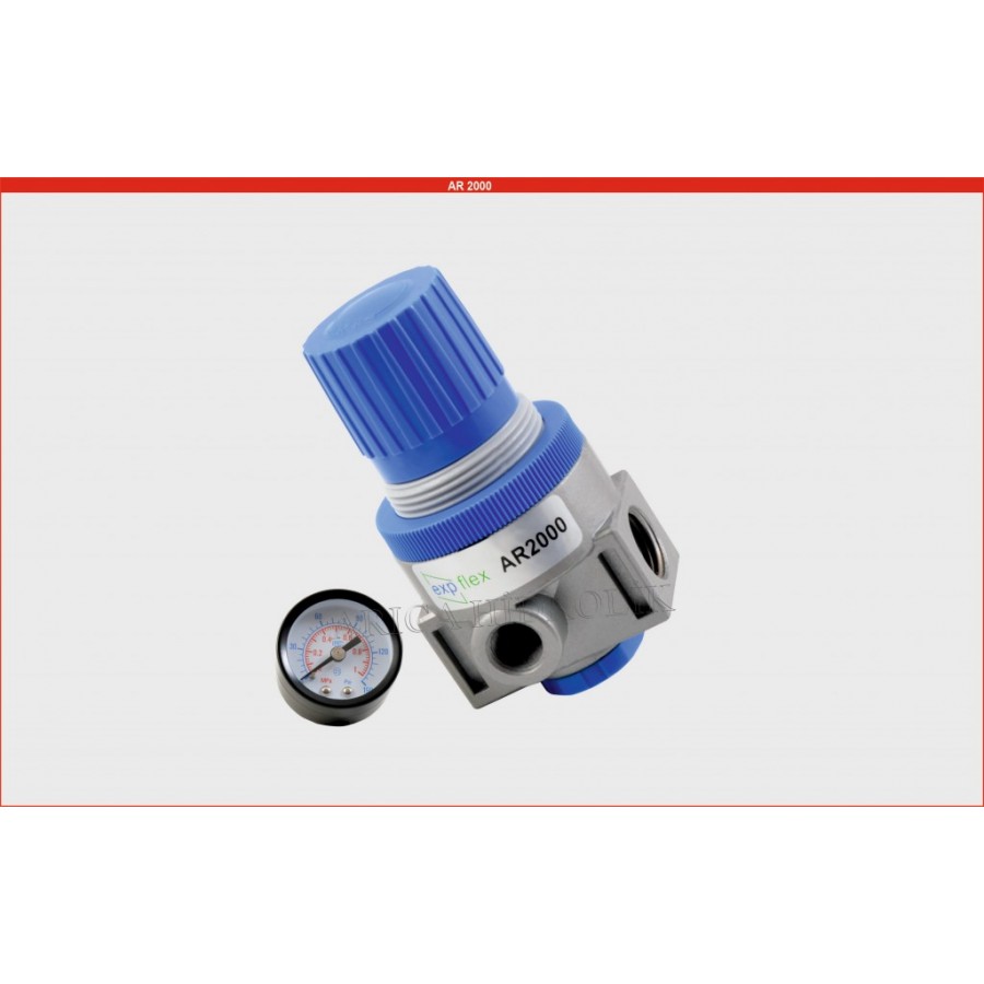 AR2000-1/4 Regülatör ( Expflex )